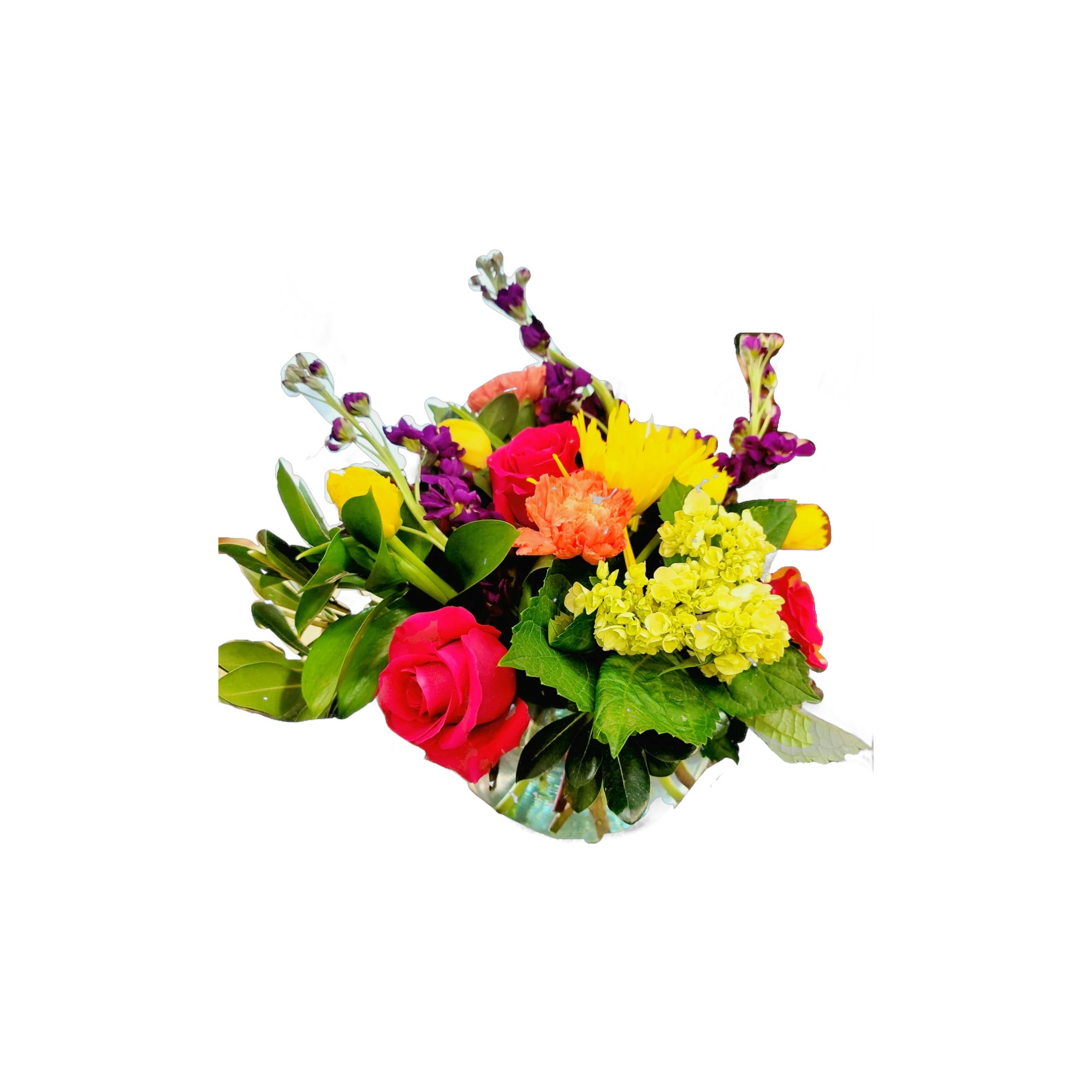 Bubble Bowl Arrangement | White Orchid Florist & Gifts